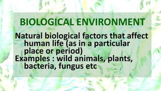 Thematic vocabulary: Environment | PPT