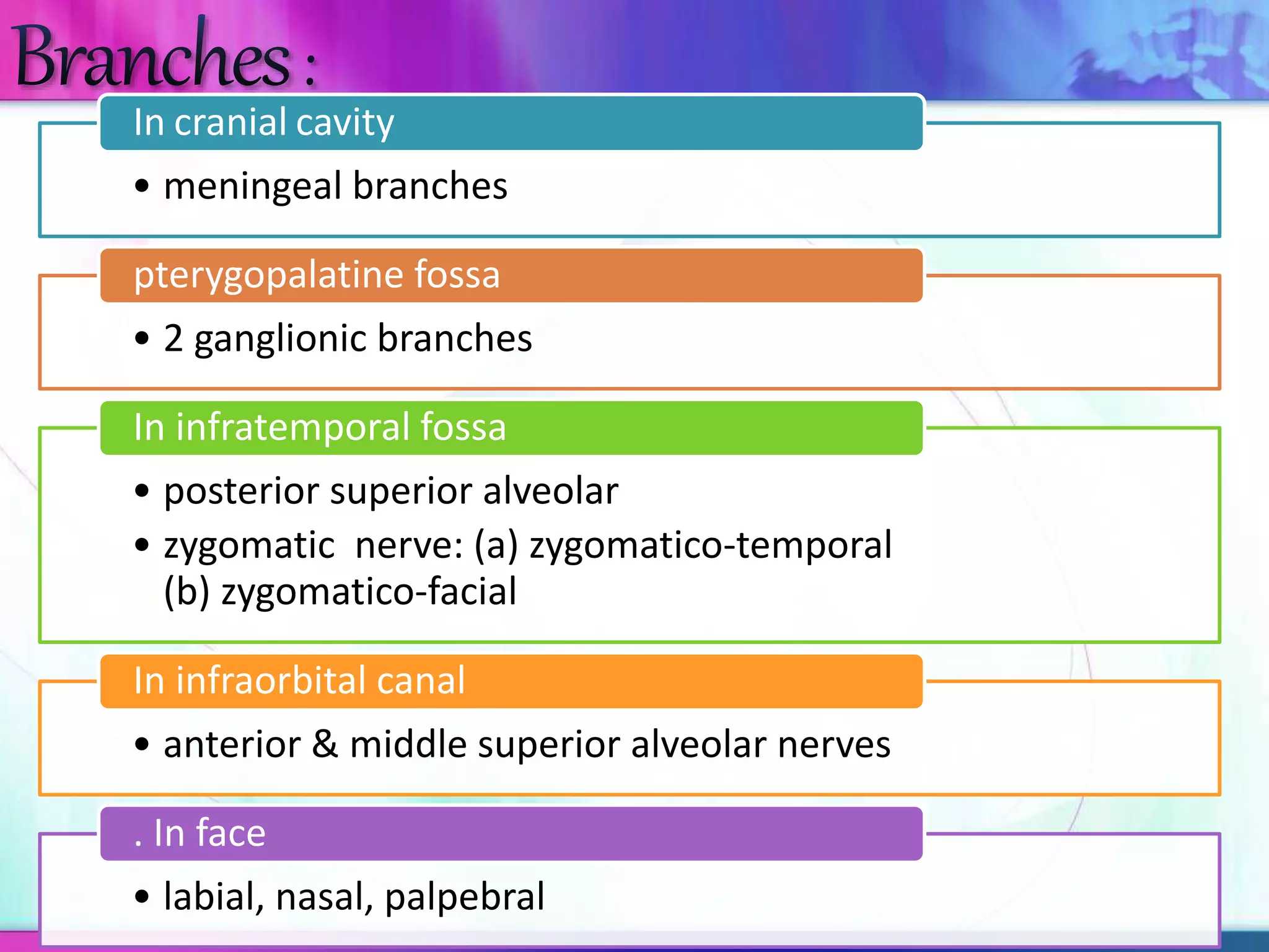 The maxillary nerve | PPTX