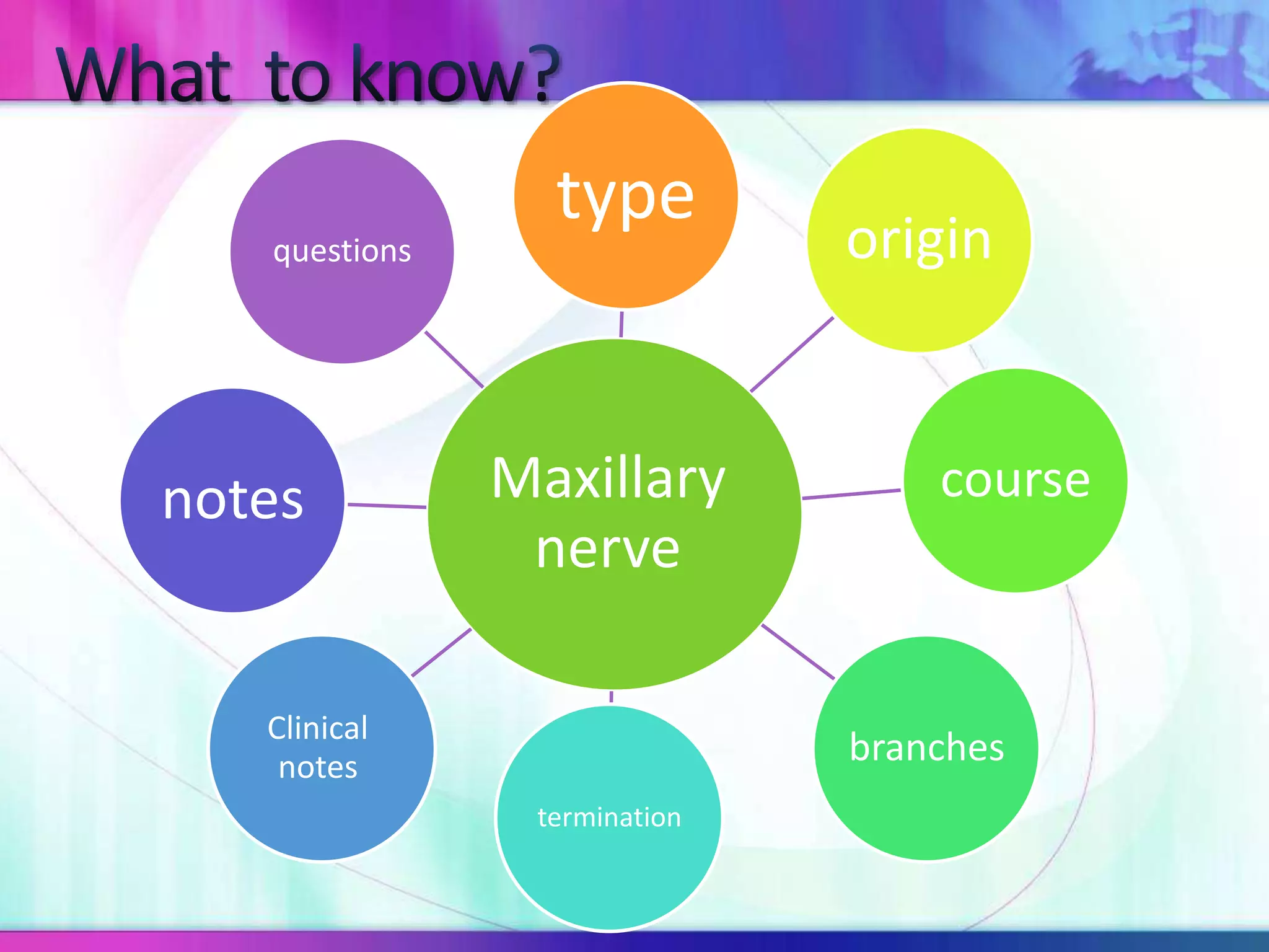 The maxillary nerve | PPTX