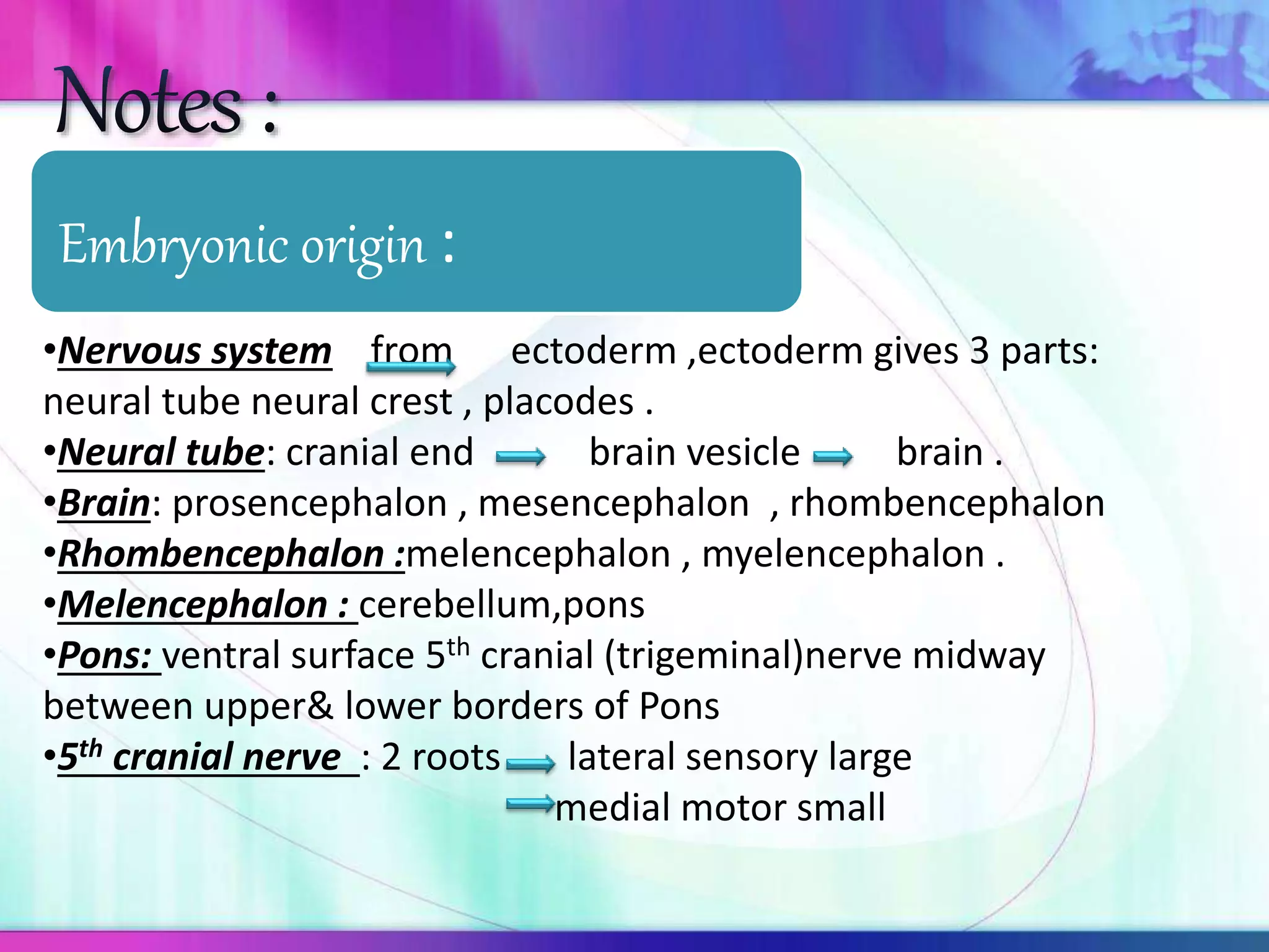 The maxillary nerve | PPTX