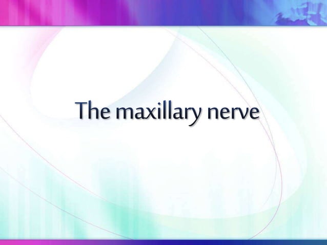 The maxillary nerve | PPTX | Ear, Nose and Throat Conditions | Diseases ...
