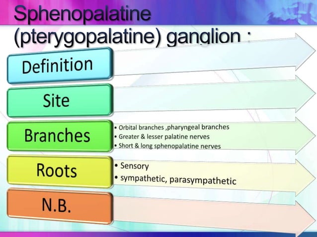 The maxillary nerve | PPTX | Ear, Nose and Throat Conditions | Diseases ...