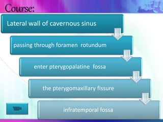 The maxillary nerve | PPTX