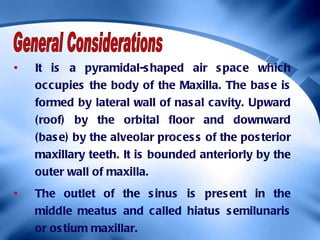 The maxillary sinus | PPT