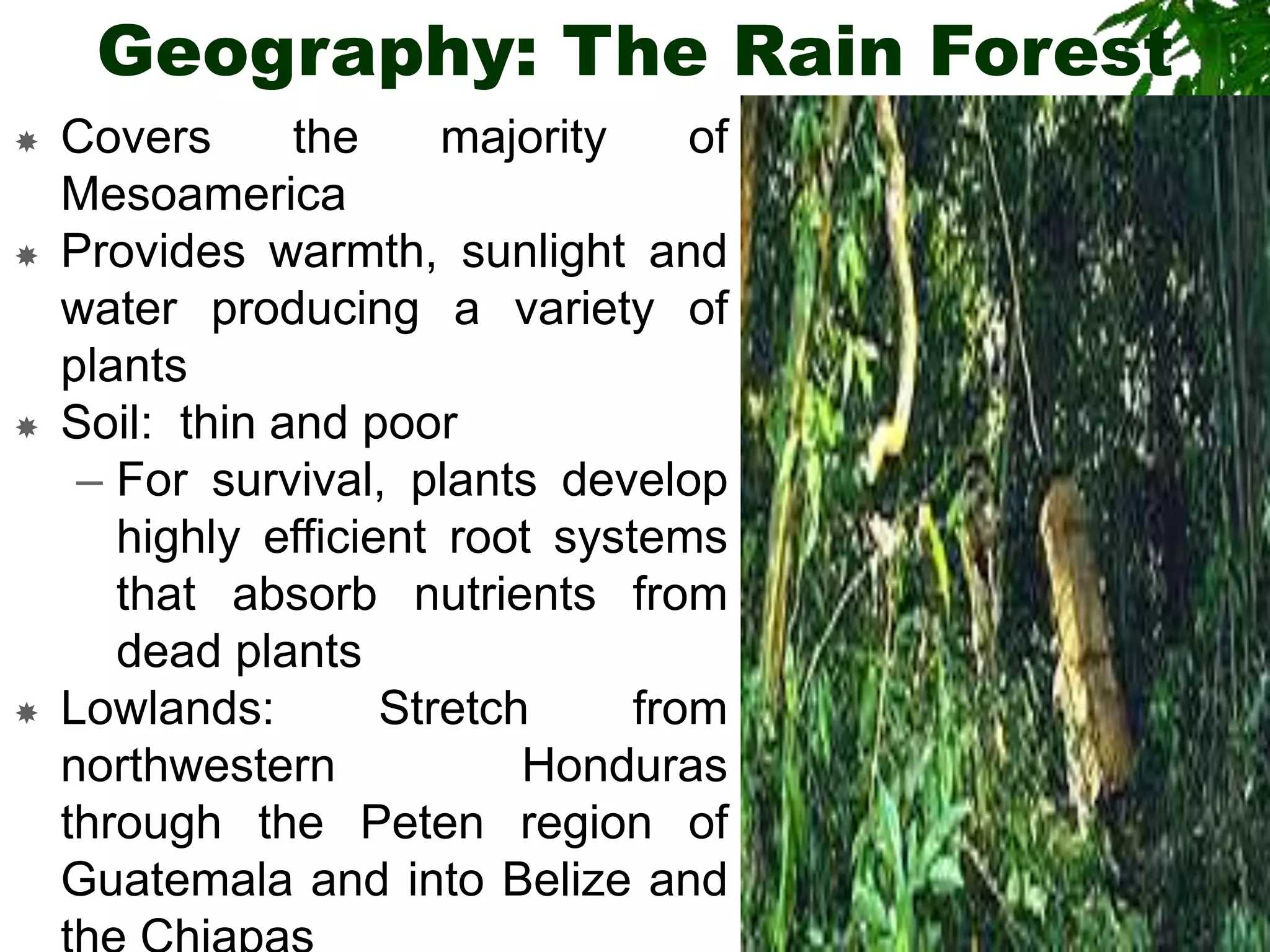 The Mayan Civilization | PPT