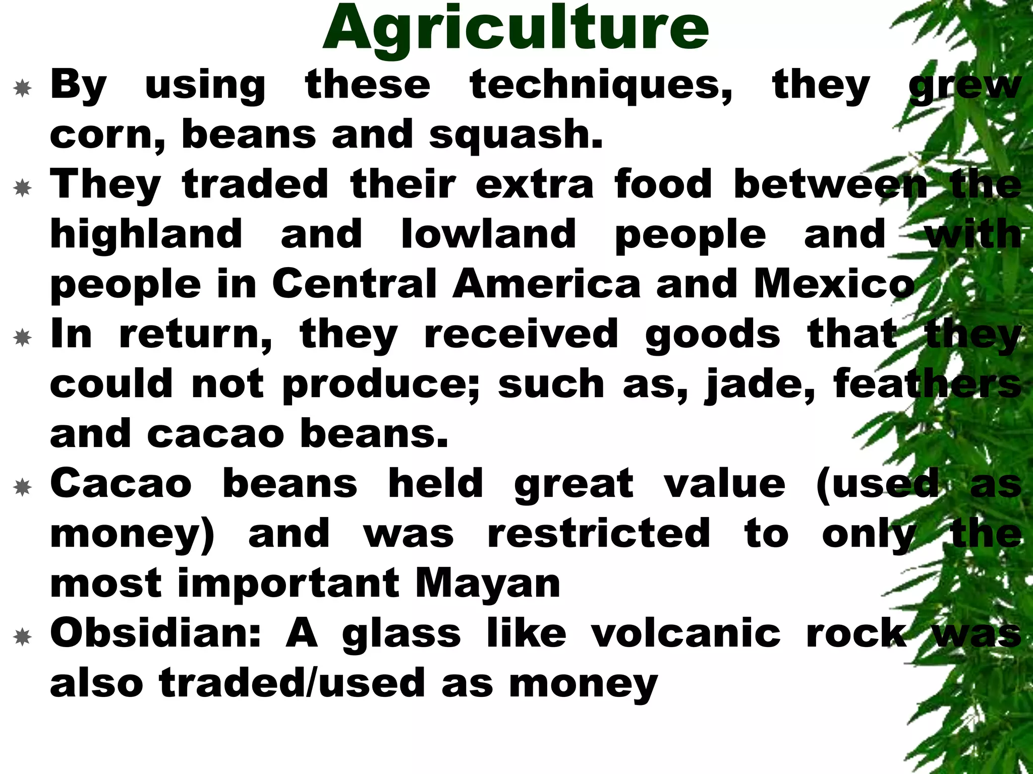 The Mayan Civilization | PPT