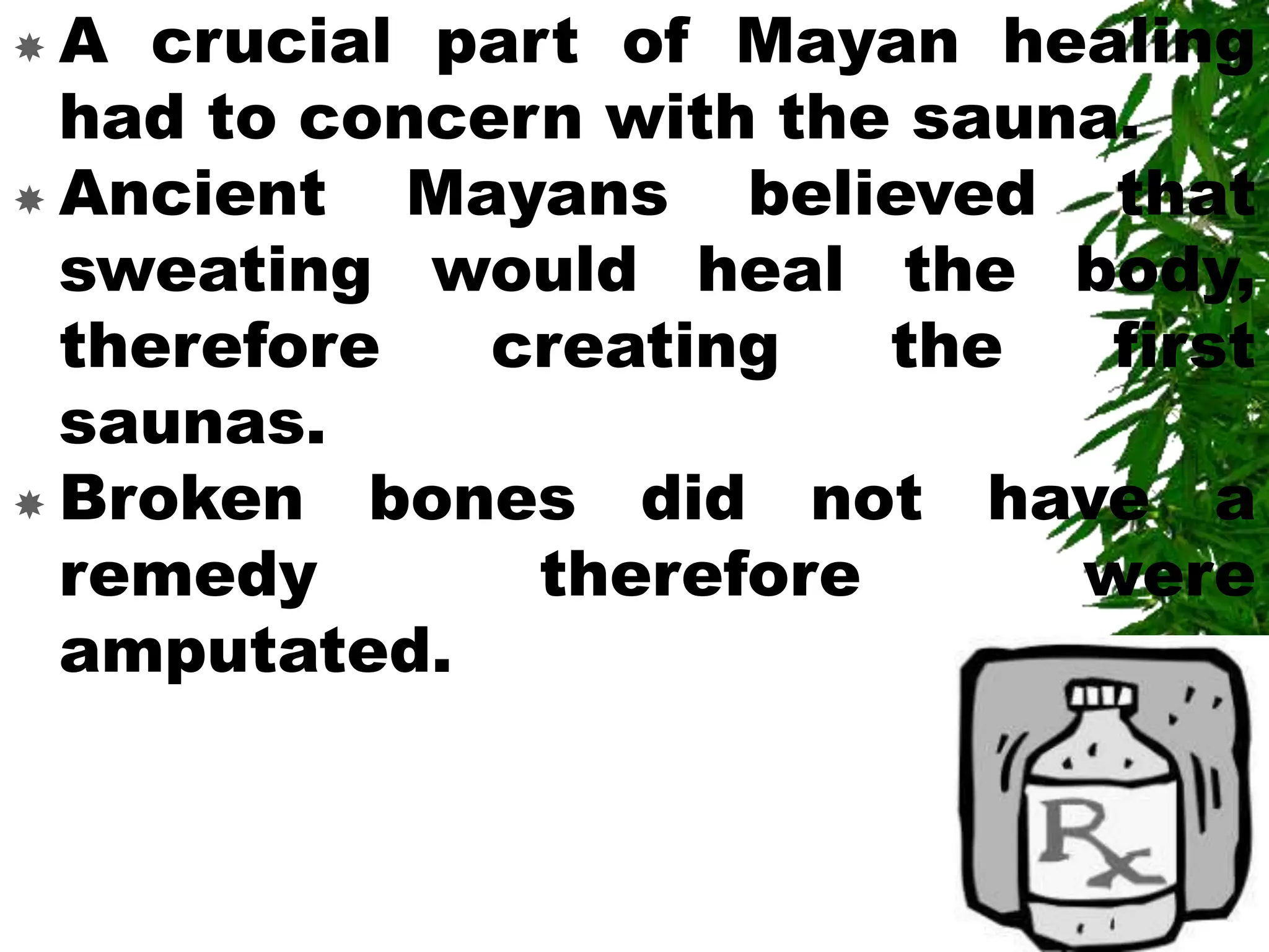 The Mayan Civilization | PPT