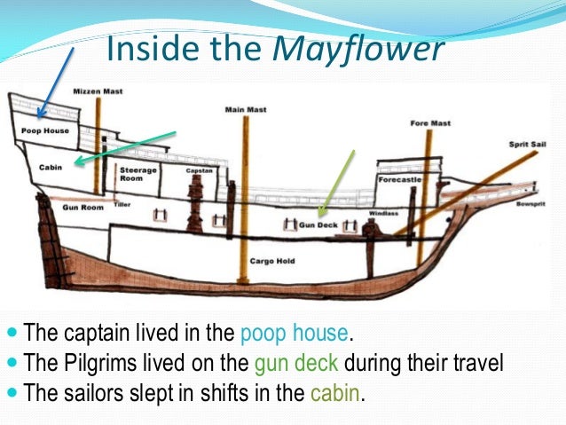 The mayflower