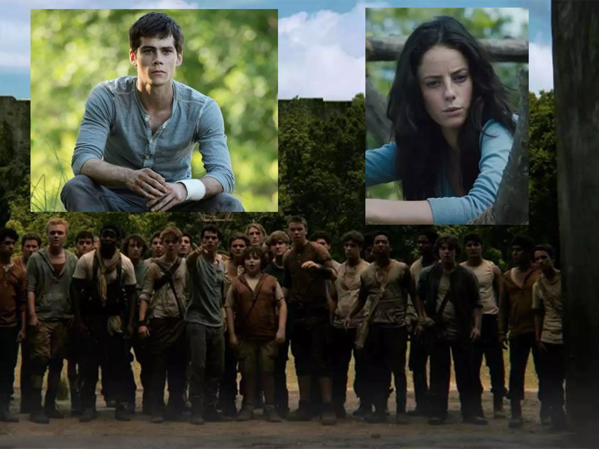 The maze runner | PPTX