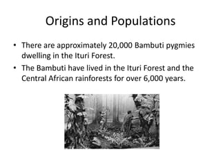 Peoples and Cultures of Africa: The Bambuti of Congo | PPTX | Africa ...