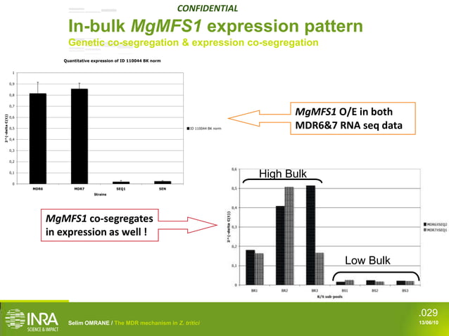 The mdr project | PPT