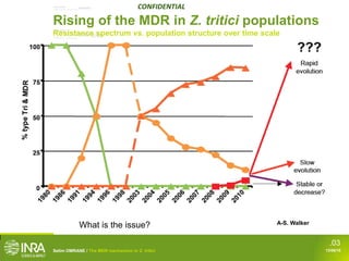 The mdr project | PPTX