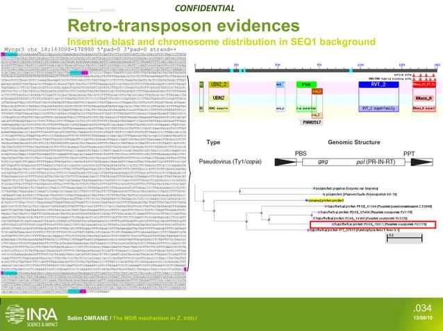 The mdr project | PPT