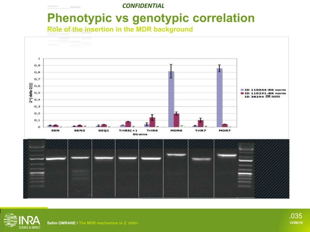 The mdr project | PPT