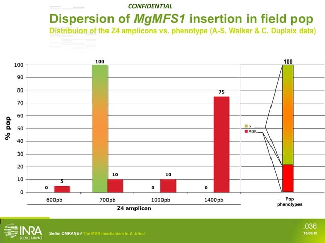 The mdr project | PPT