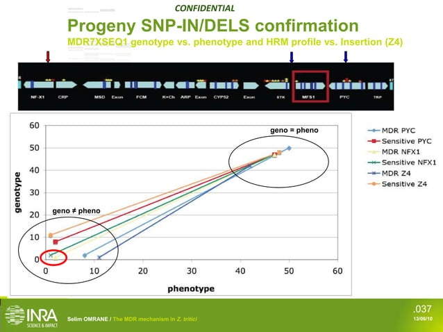 The mdr project | PPT