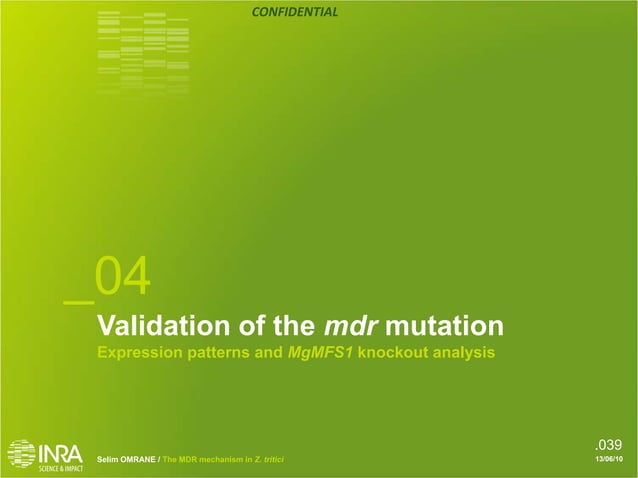 The mdr project | PPT