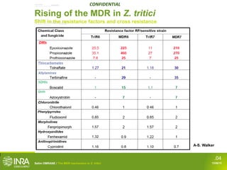 The mdr project | PPTX