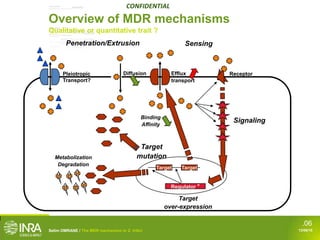 The mdr project | PPTX