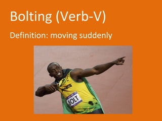 Theme 1 Night of the Twister and Blizzard vocabulary | PPT