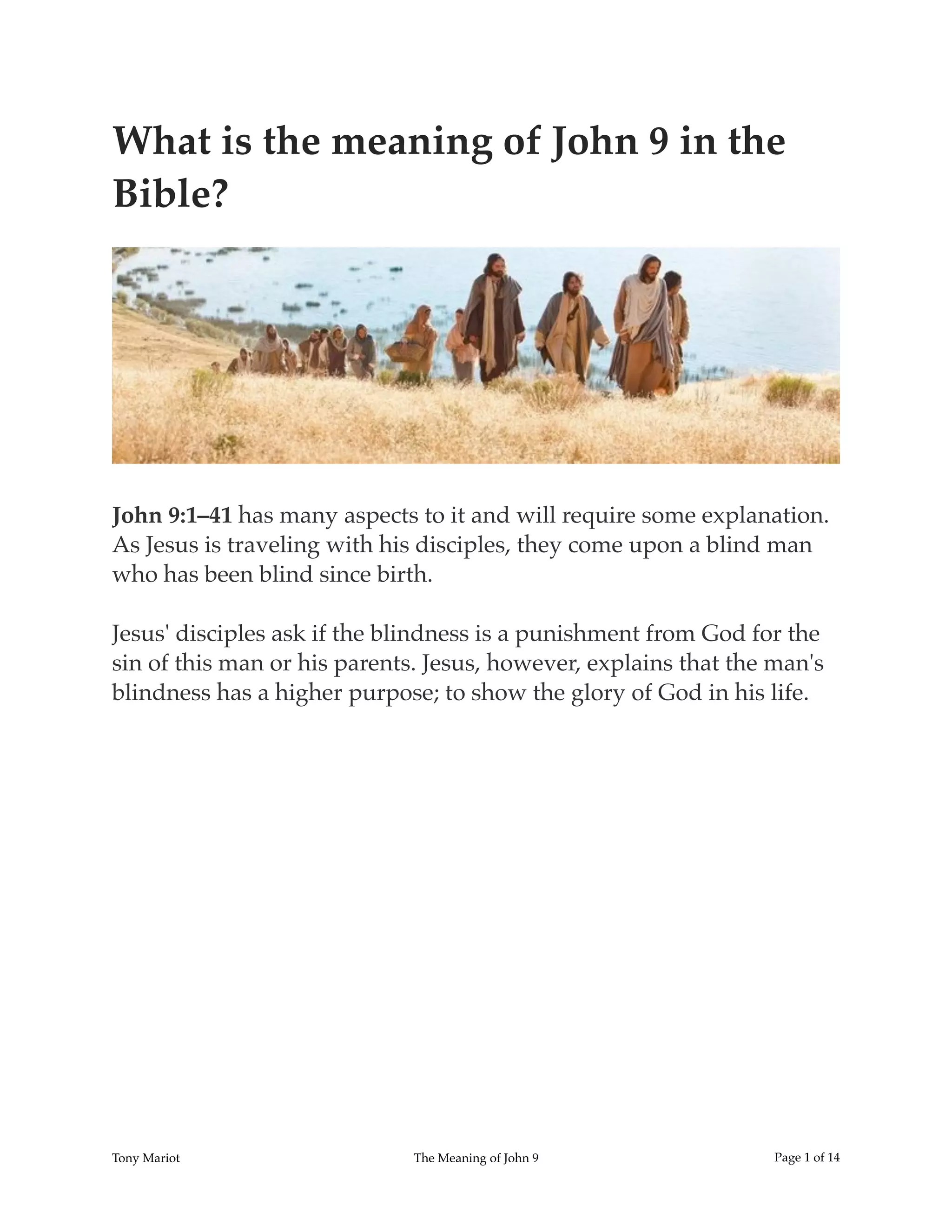 The Meaning Of John 9 PDF The Meaning Of John 9 PDF