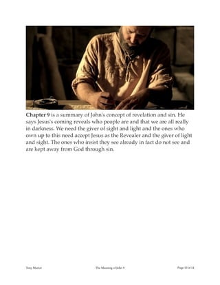 The Meaning of John 9 | PDF