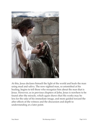The Meaning of John 9 | PDF