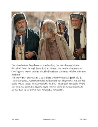 The Meaning of John 9 | PDF