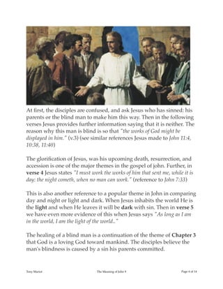The Meaning of John 9 | PDF