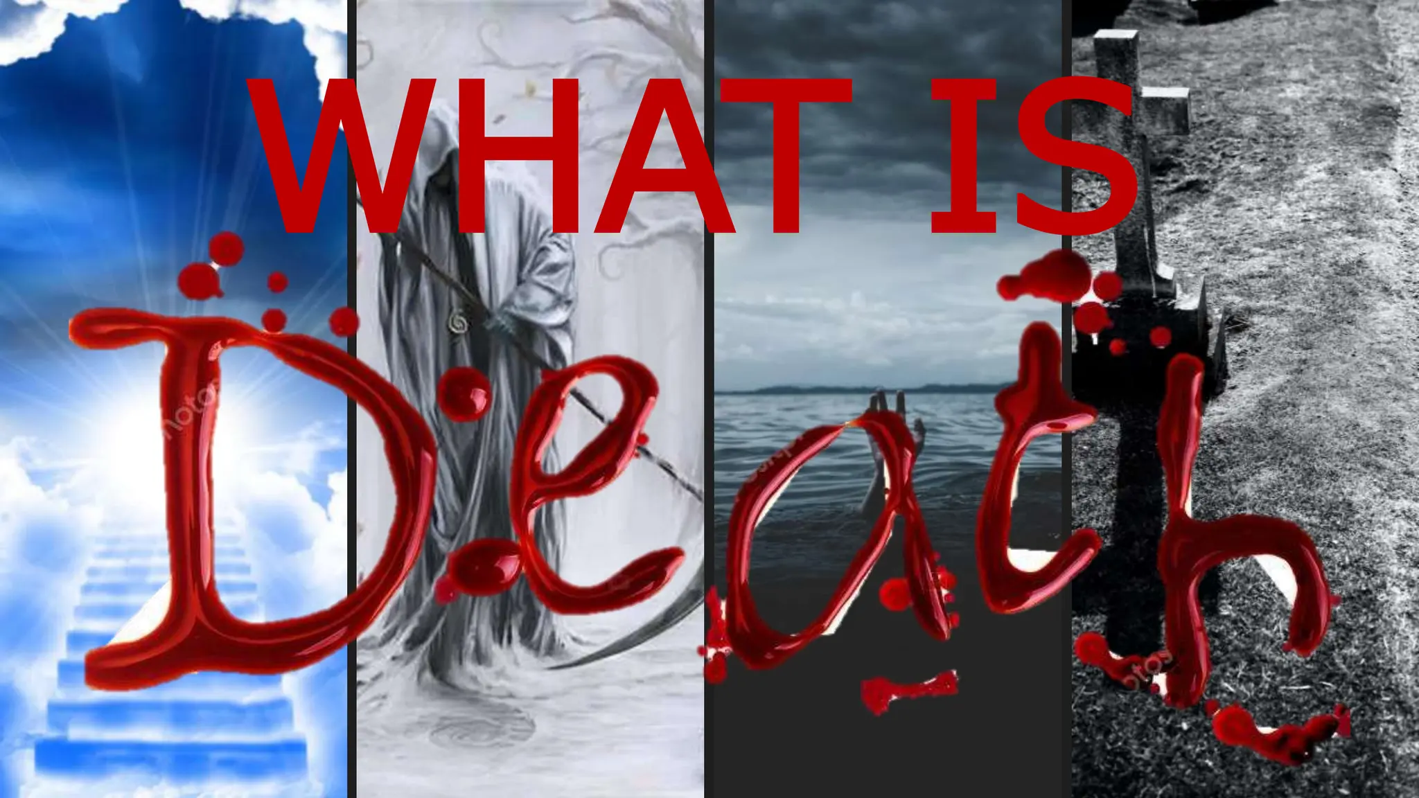 The meaning of life intro to philosophy of human person | PPT