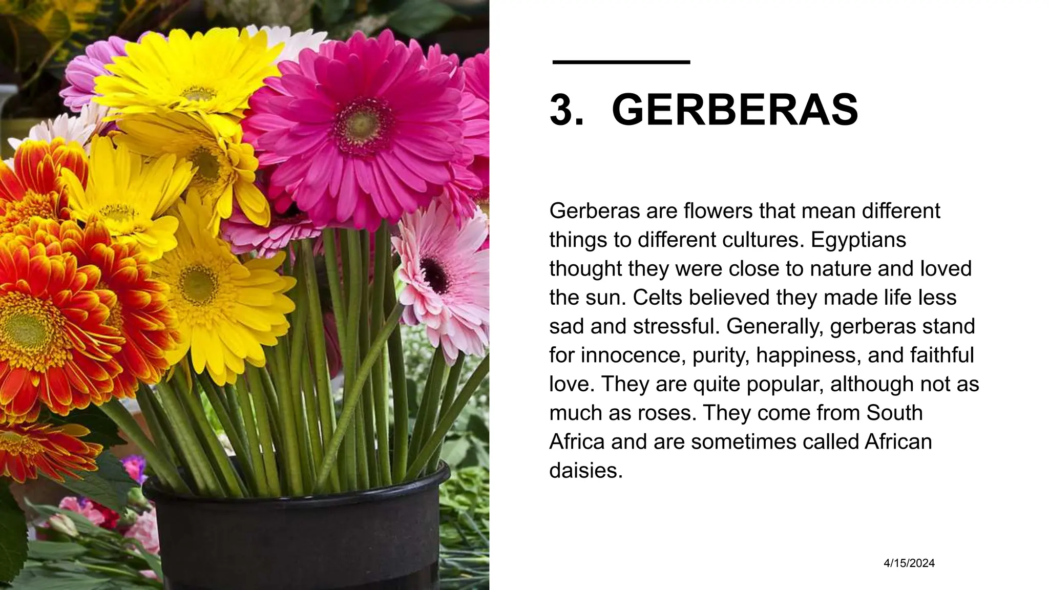 THE MEANING _ OF THE 10 _ MOST POPULAR FLOWERS AS GIFTS_.pptx
