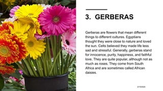 THE MEANING _ OF THE 10 _ MOST POPULAR FLOWERS AS GIFTS_.pptx