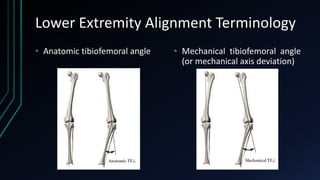 The Measurement and Analysis of Axial Deformity at The Knee.pptx