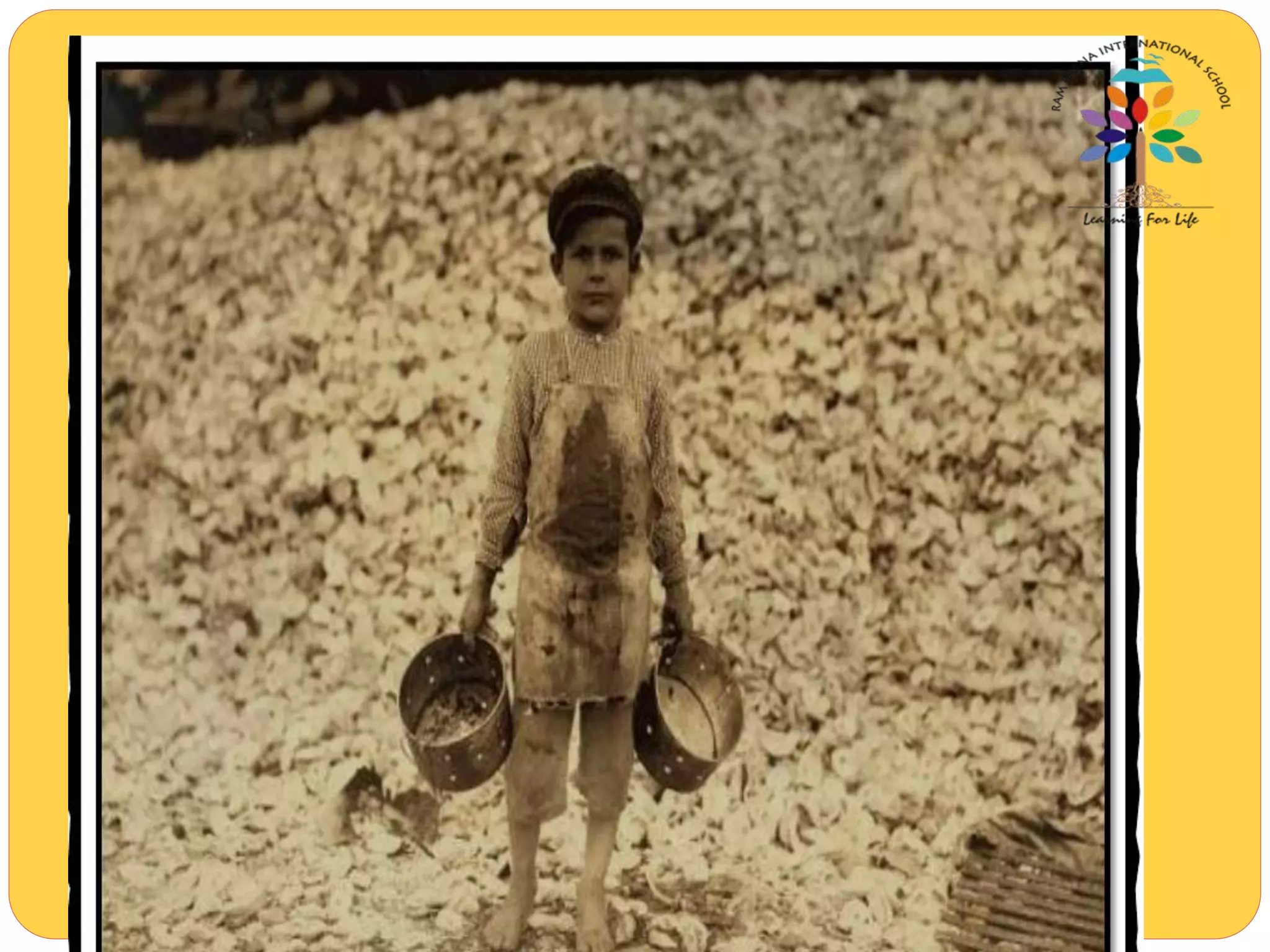 Theme based learning | PPT