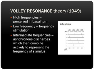 The mechanism of hearing | PPTX