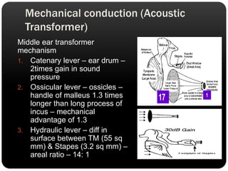 The mechanism of hearing | PPTX