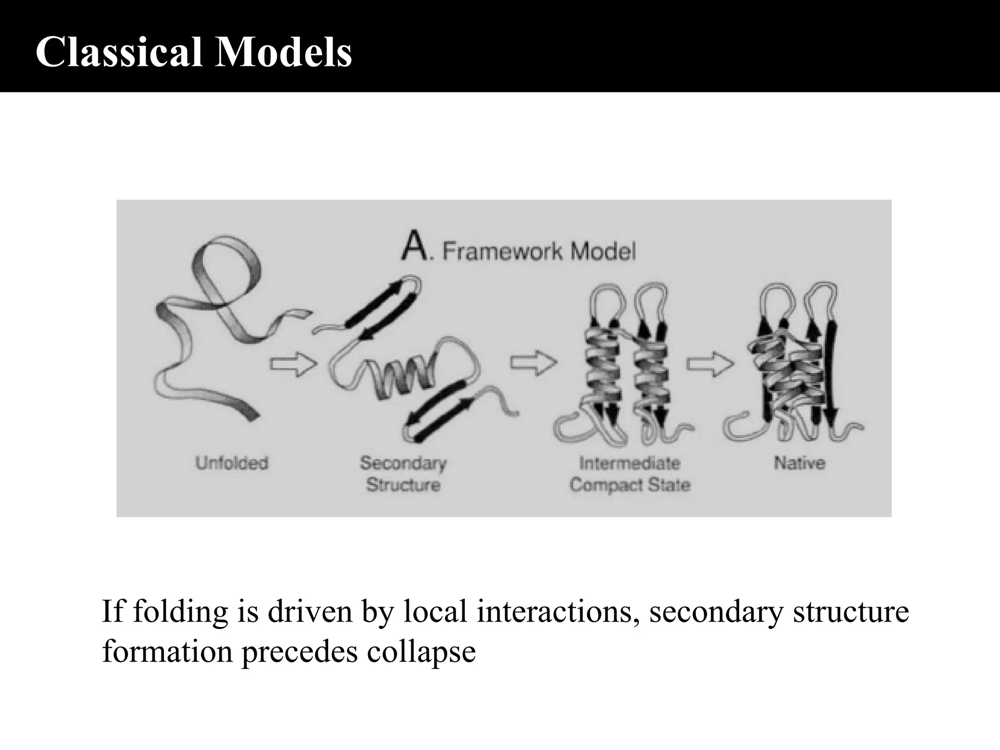 The mechanism of protein folding | PPT