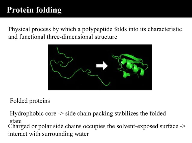 The mechanism of protein folding | PPT