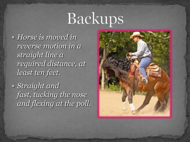 The mechcanics of reining 1 | PPTX | Equine Sports | Sports