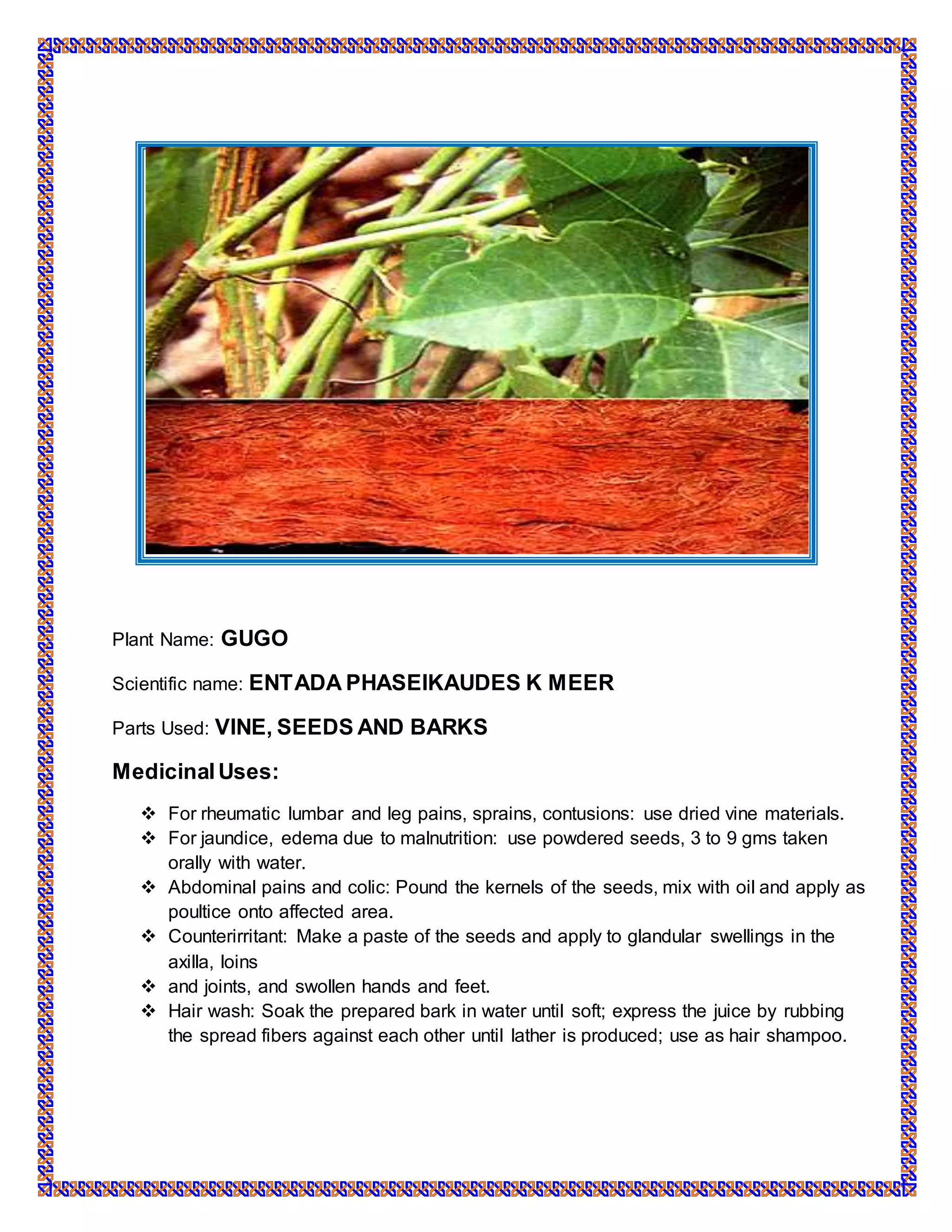 The medicinal plants | DOCX