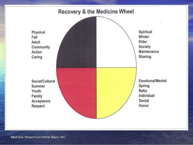 The medicine wheel tx planning and refferal 11 10-10