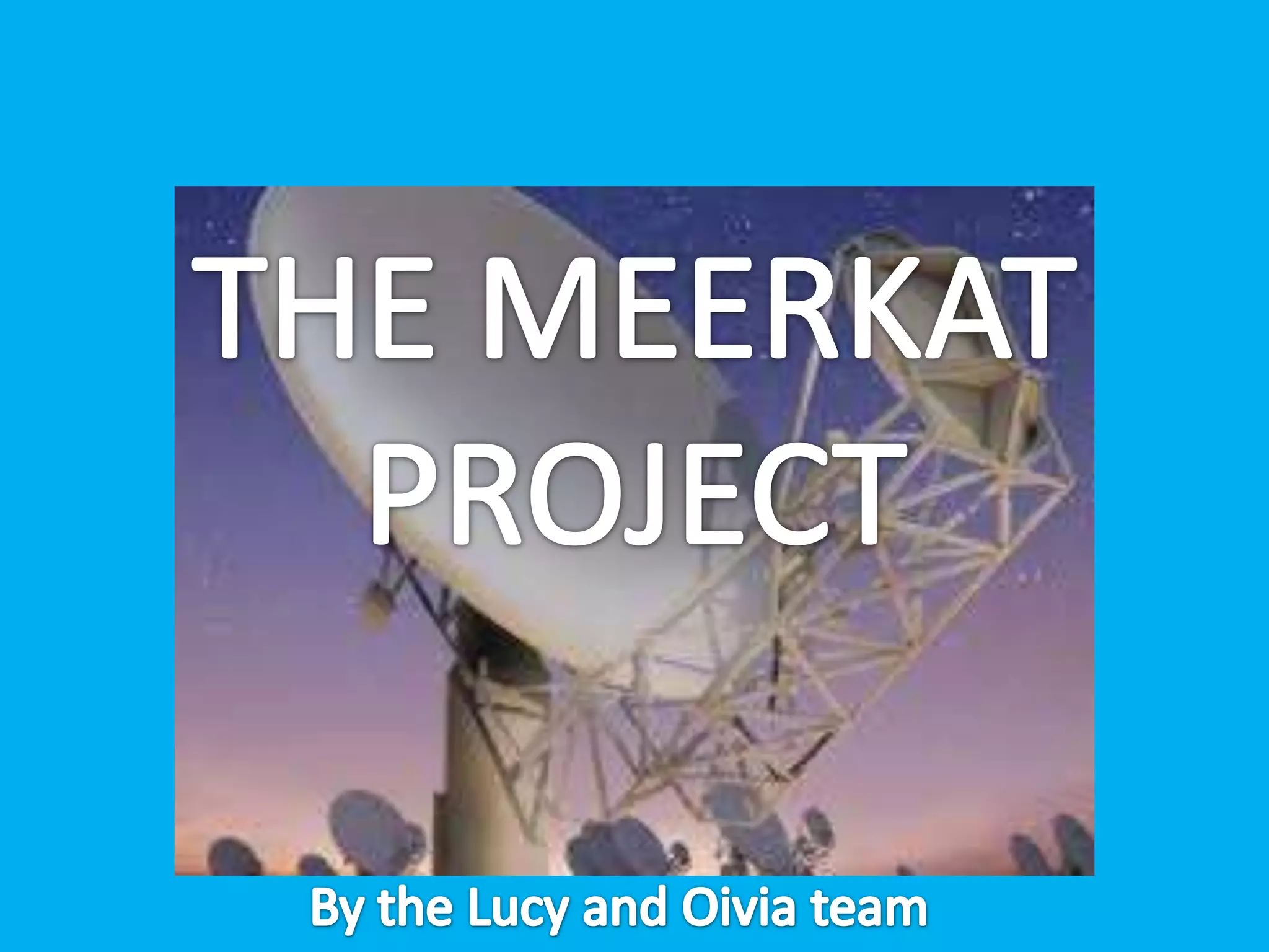 The meerkat project | PPT