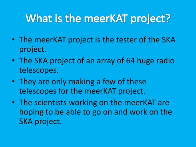 The meerkat project | PPT