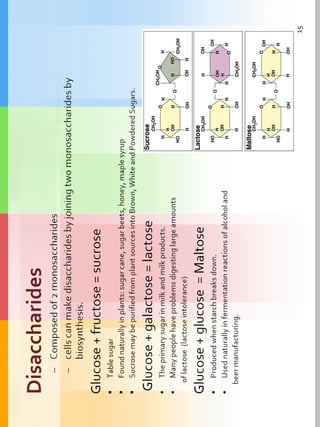 ThemeGallery PowerTemplate - carbohydrates-131204014552-phpapp02.pdf