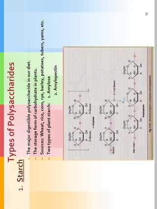 ThemeGallery PowerTemplate - carbohydrates-131204014552-phpapp02.pdf