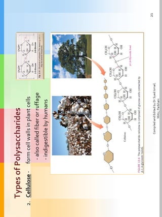ThemeGallery PowerTemplate - carbohydrates-131204014552-phpapp02.pdf