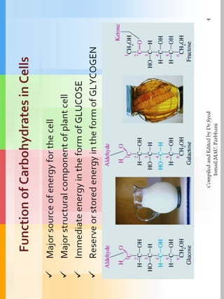 ThemeGallery PowerTemplate - carbohydrates-131204014552-phpapp02.pdf