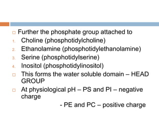 The membrane lipids | PPTX