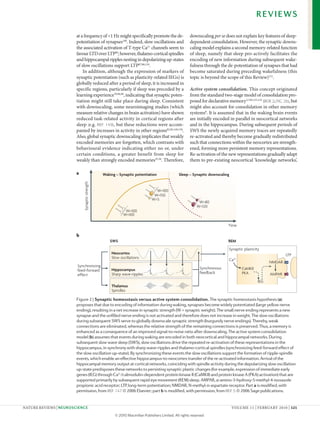 The memory function of sleep | PDF