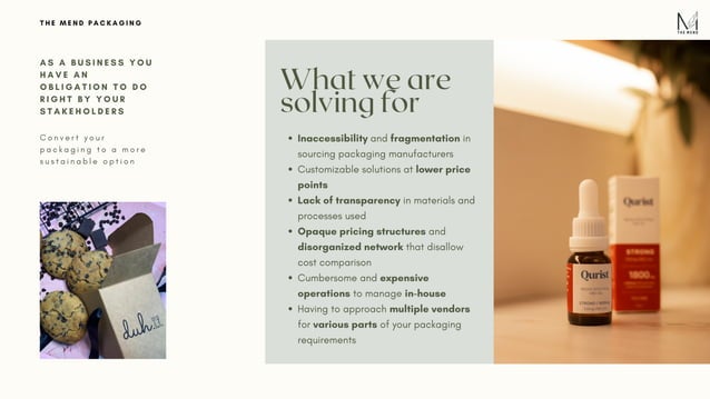 The Mend - Sustainable Packaging Solutions - Credentials (1).pdf